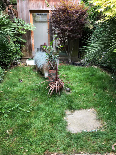 Yard of the Week: Leafy, Layered Backyard Haven on a Small Plot