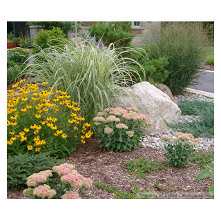 Carlisle - Landscape - Toronto | Houzz