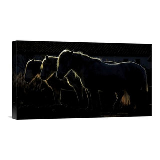 "Triplets" Stretched Canvas Giclee by Michel Romaggi, 16x9", 16"x9 ...