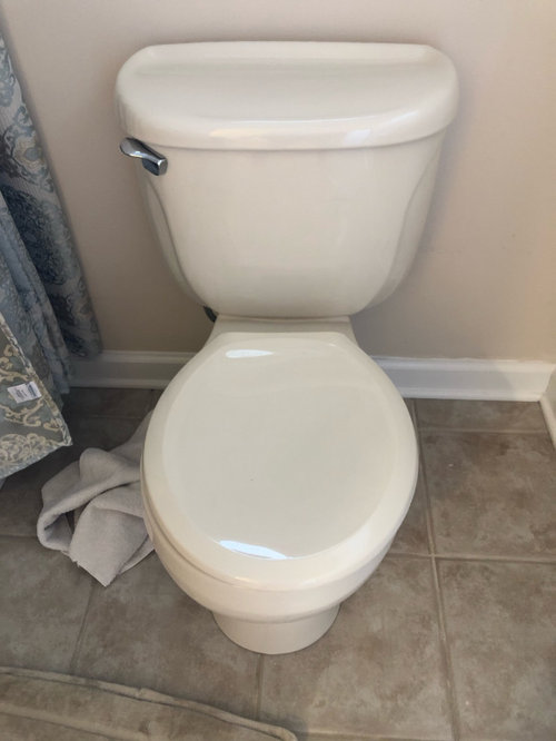 Help identifying American Standard toilet color!