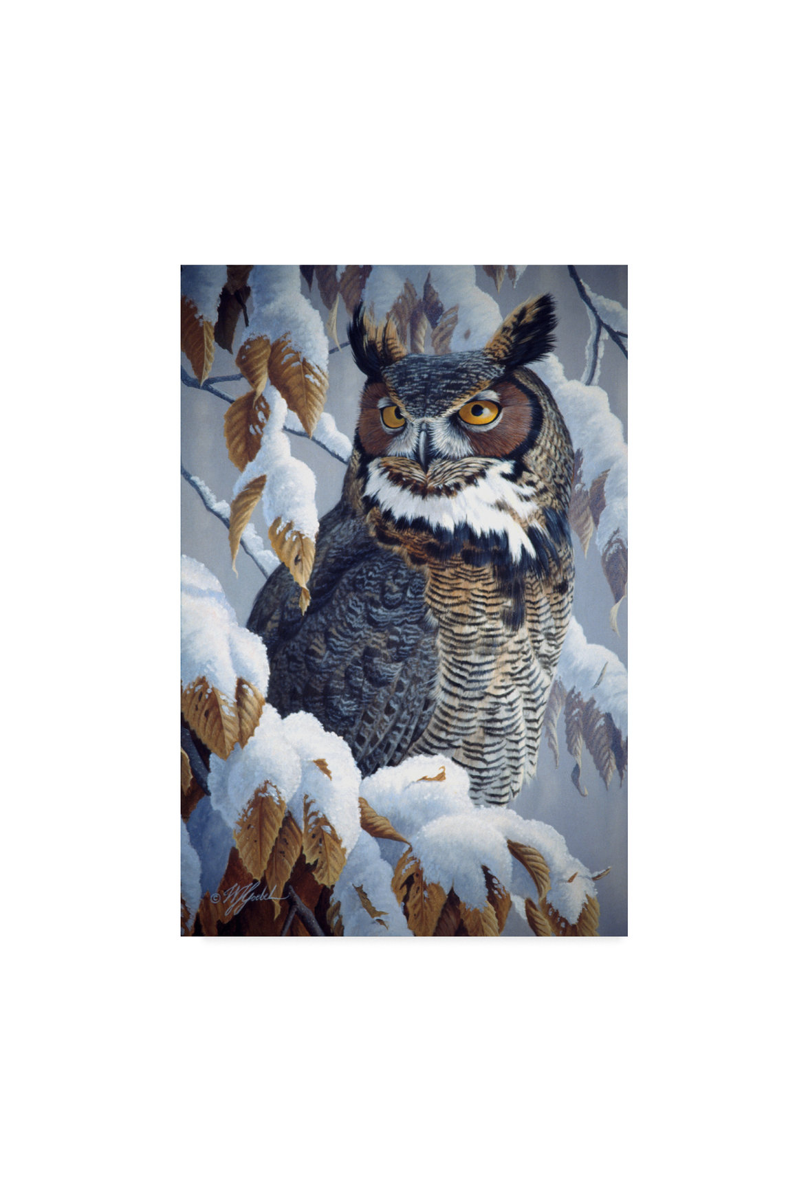 Wilhelm Goebel 'Winter Watch Great Horned Owl' Canvas Art, 47"x30 ...