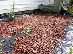 Lava rocks in the flower bed?