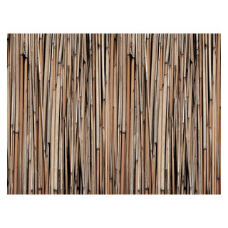 Reed Mural Wallpaper, sample - Contemporary - Wallpaper - by Walls ...