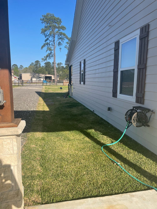landscaping side of house? | Houzz Forum