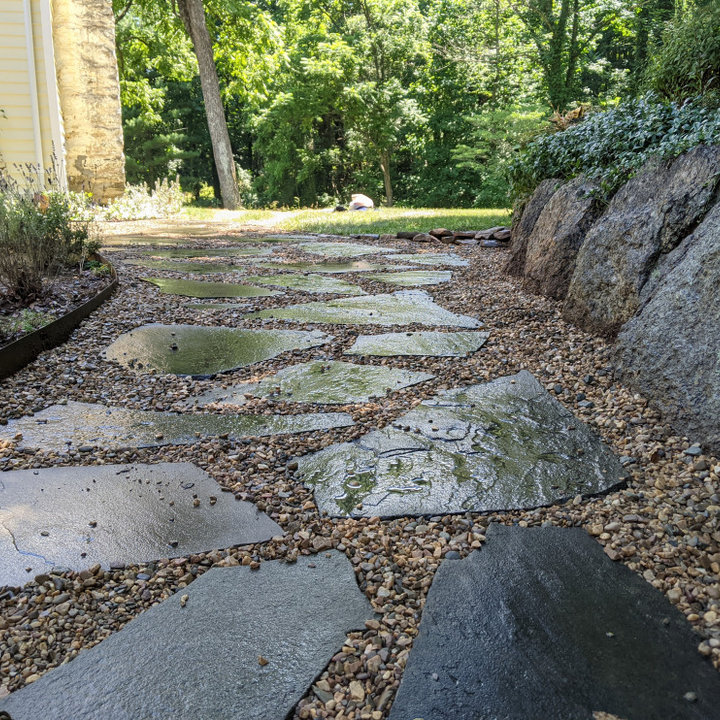 75 Shade Walkway Ideas You'll Love - September, 2025 | Houzz