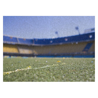 Baseball Field 1 Area Rug, 5'0"x7'0" - Contemporary - Novelty Rugs - by ...