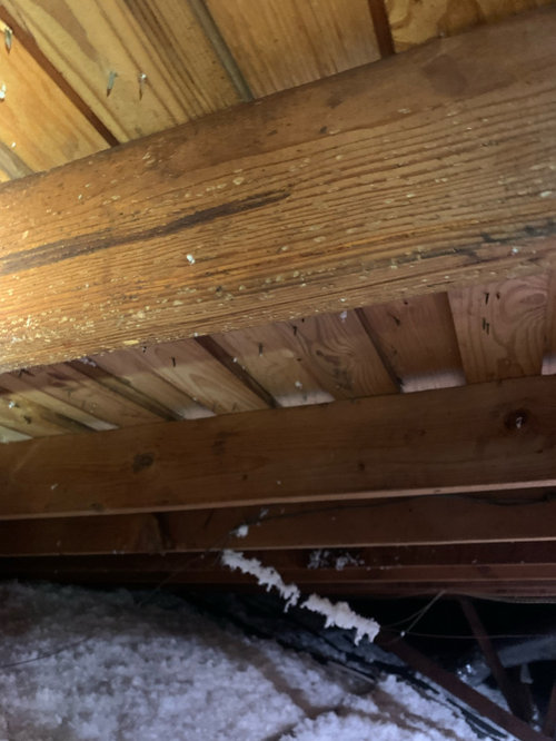 noticed possible old termite damage