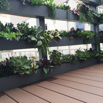 75 Beautiful Asian Balcony Ideas & Designs - July 2022 | Houzz AU