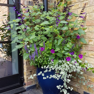 75 Tropical Container Garden Ideas You'll Love - April, 2022 | Houzz