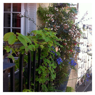 Un balcon filant à Paris Saint Germain... - Shabby-chic Style - Balcony ...