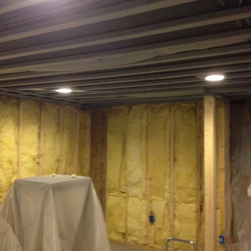 Exposed Duct Work Basement Ideas - Photos & Ideas | Houzz