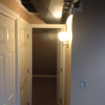 Exposed Duct Work Basement Ideas - Photos & Ideas | Houzz