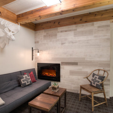 Faux Fireplace Inserts - Photos & Ideas | Houzz