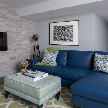 75 Modern Blue Basement Ideas You'll Love - September, 2024 | Houzz