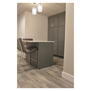 Lower Level Remodel With Home Bar, Spa-like Suite, Craft Room , and ...