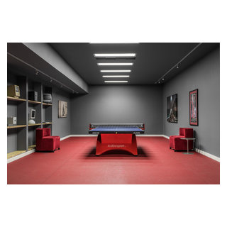 New Modern House 1 - Modern - Basement - Indianapolis - by HAUS ...