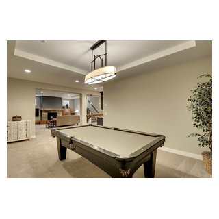 Parade Model #1 - Traditional - Basement - Minneapolis - by JMS Custom Homes | Houzz