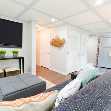 75 Coastal Basement Ideas You'll Love - May, 2022 | Houzz