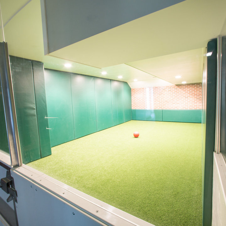 Basement Turf - Photos & Ideas | Houzz