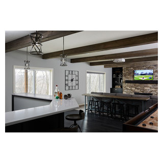 The Savage Basement - Transitional - Basement - Minneapolis - by Carla ...