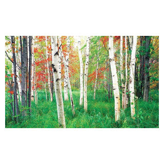 Window Well Scenes and Liners - Basement - Denver - by Biggies, Inc | Houzz