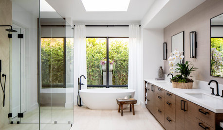 Please Help - back to back bathroom layout / remodel
