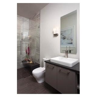 Graphite, Bianco Marina and Latte - Transitional - Bathroom - Raleigh ...