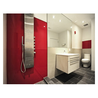 Lustrolite and Sasha Alexandra Shower Panel - Modern - Bathroom ...