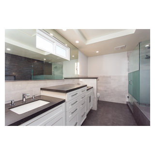 Masterbath with a grand spa wall in Oak Park - Transitional - Bathroom ...