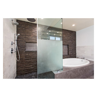 Masterbath with a grand spa wall in Oak Park - Transitional - Bathroom ...