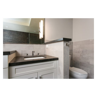 Masterbath with a grand spa wall in Oak Park - Transitional - Bathroom ...