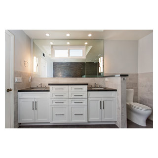 Masterbath with a grand spa wall in Oak Park - Transitional - Bathroom ...
