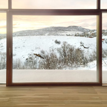 Fixed Window With Operable Sash - Photos & Ideas | Houzz