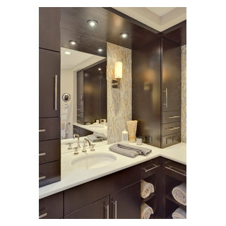 Ridgefield- Master Bath and Hall Bath - Contemporary - Bathroom - New ...