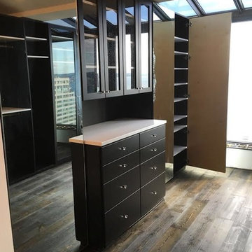 75 Modern Closet Ideas You'll Love - July, 2024 | Houzz