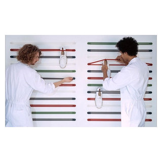 shoe storage - Droog straps @ AllModern.com - Closet - Other | Houzz