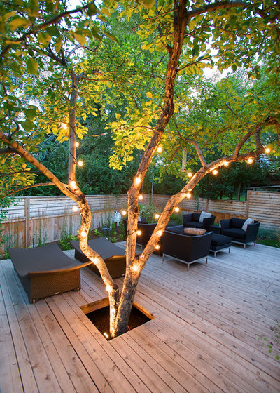 Comment intégrer un arbre à la conception des espaces extérieurs