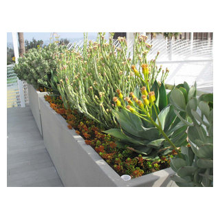 Concrete Planter Box - Modern - Landscape - Los Angeles - by Design ...
