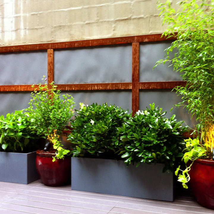 75 Asian Container Garden Ideas You'll Love - October, 2025 | Houzz