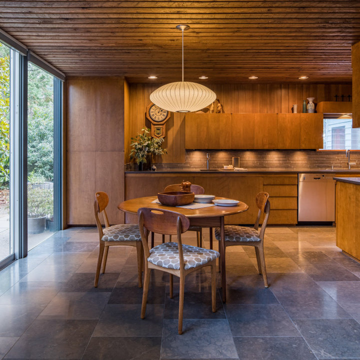 Mid Century Modern Ceiling - Photos & Ideas | Houzz