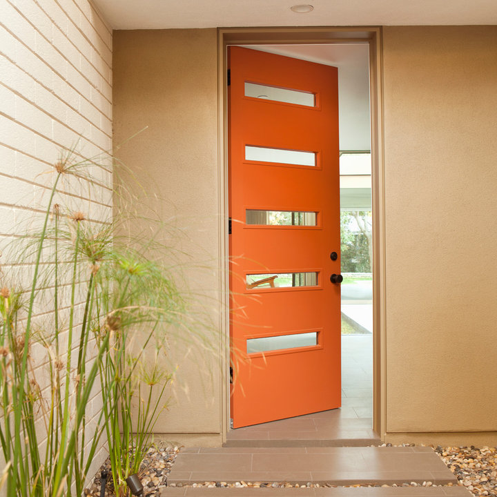 Mid Century Modern Doors - Photos & Ideas | Houzz