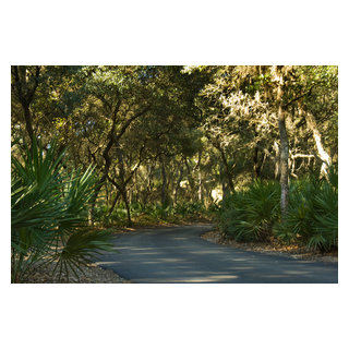 Craftsman Home with Nature Calling - Craftsman - Entrée - Tampa - par ...