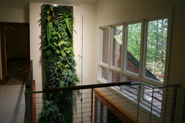 Mexican Design to Inspire a Home Anywhere