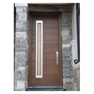 entry doors - Contemporary - Entry - Toronto - by Modex Limited | Houzz