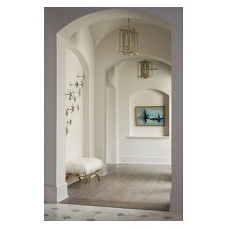 Frandora - Transitional - Entry - Houston - by Thompson Custom Homes ...