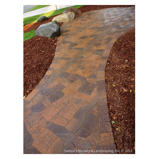 Front Stoop & Walk Renovation - Traditional - Entry - Minneapolis - by ...