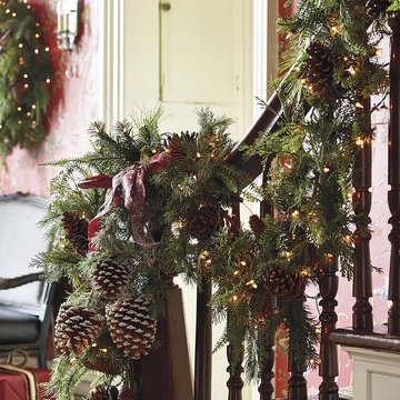 Weeping White Spruce - Photos & Ideas | Houzz