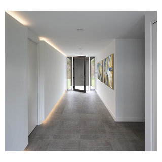 Meander House - Modern - Entry - Milwaukee - by Bruns Architecture | Houzz