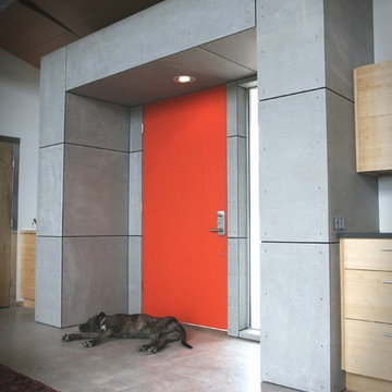 Industrial Front Door - Photos & Ideas | Houzz