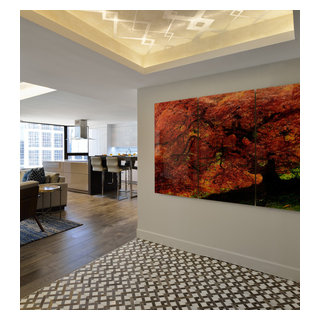 Sky High Living - Contemporary - Entry - Houston - by Laura Manchee ...